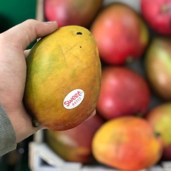 De la Huerta a tu Casa - Verdura orgánica y agroecológica